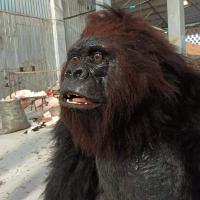 China Theme Park Realistic Animatronic Animal Gorilla Costume for sale