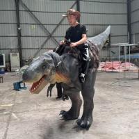 China Theme Park Realistic Animatronic Dinosaur Ride Costume Stilts T-rex Costume for sale