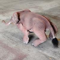 China New Realistic Animatronic Remote Control Walking Robot Animal Elephant Robot Dog for sale