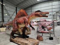 China Jurassic High-quality Realistic Animatronic Dinosaur Spinosaurus 6m Model for sale