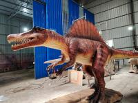 China Jurassic High-quality Realistic Animatronic Dinosaur Spinosaurus 6m Model for sale
