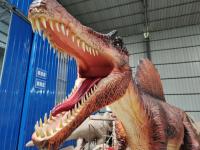 China Jurassic High-quality Realistic Animatronic Dinosaur Spinosaurus 6m Model for sale