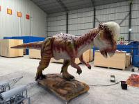 China Theme Park Realistic Animatronic Dinosaur Pachycephalosaurus 6m Model For Sale for sale