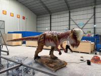 China Theme Park Realistic Animatronic Dinosaur Pachycephalosaurus 6m Model For Sale for sale