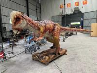 China Theme Park Realistic Animatronic Dinosaur Pachycephalosaurus 6m Model For Sale for sale