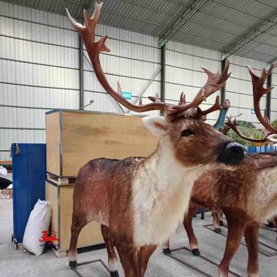 China Amusement Park Animatronic Christmas Decoration Reindeer Model For Sale for sale