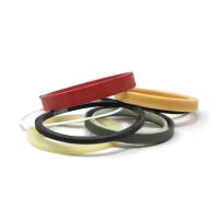 China Genie 77189 77189GT Seal Kit Replacement for Genie Aerial Lift Cylinder Gasket ISO9001 CE for sale