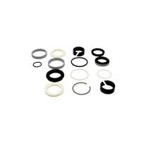 China Genie 65788 65788GT Bolt Release Cylinder Seal Kit for Genie Z-45/25 for sale