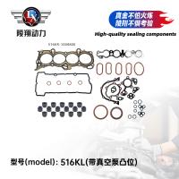 China Vacuum Pump Complete Overhaul Package DAM16KL 516KL For Convex Engine for sale