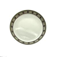 China 531 Series Camping Melamine Serving Plates Safe Durable And Unbreakable for sale