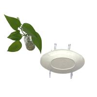 China Non Toxic Melamine Soup Plate Safety 7.5