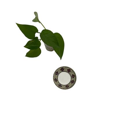 China Housewares Outdoor Unbreakable Dishes Melamine Non Toxic 531 Series for sale