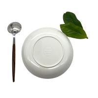 China 6.7'' Melamine Party Plates Eco Friendly Unbreakable Plate Dinnerware Sets for sale
