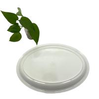 China 16