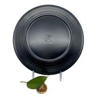 China Round Melamine Dinnerware Sets Matte Melamine Restaurant Dinner Plate for sale