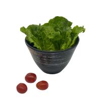 China Restaurant Salad Melamine Bowl Plates Dinnerware With Bevel Shape for sale
