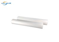 China Heat Transfer 60cm 100m Roll DTF PET Film Hot Peel DTF Film Roll for sale