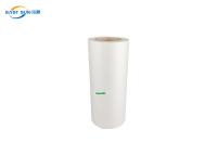 China Colorful Single Side Pet Film Roll Hot Peel Dtf 30cm For Heat Transfer for sale