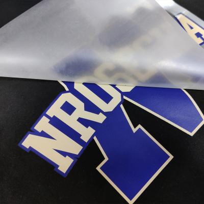 China Double Sided 60cm 30cm 33 cm Transfer Film Pet DTF Film for DTF Printing for sale