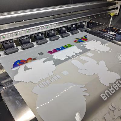 China 33cm 60cm 30cm Double Side Matte Hot Peel Cool Peel Pet Film Heat Transfer Dtf Film Roll For Fabric for sale