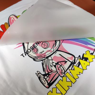 China Free Sample Double Side Matte DTF 30cm 60cm Cold Peel Hot Peel Pet Film Dtf Roll for sale