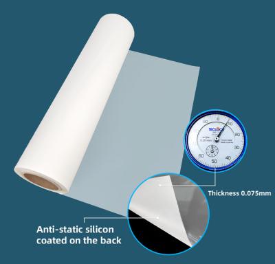 China Hot Peel DTF PET Transfer Film Washable Rubbing Resistance Roll for sale