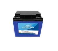 China 60Ah LiFePO4 Rechargeable Battery 12 Volt Lithium Power Pack for sale