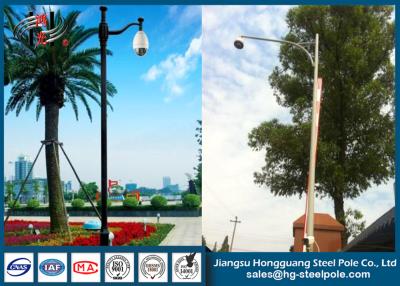 China Single Arm Polygonal Telescopic CCTV Camera Pole for Garden Monitoring ODM / OEM for sale