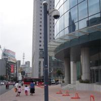 China 1-10m Outreach Arms Steel Camera Mast with Hot Dip Galvanized and Powder Coated Polygonal Shape for Secure Surveillance for sale