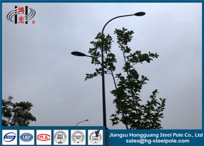 China Single / Double Arm RAL Street Light Poles Powder Coated With LED Lamp for sale