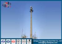 China H15 - 60m Telecommunication Towers Anti - Rust Painted Telecommunication Steel Pole for sale