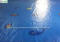 China Regular Rectangle Blue Water Ball Inflatable Water Pool For Kids Water Fun In Summer for sale