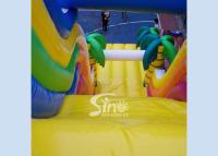 China Giant Double Lane Dragon Inflatable Forest Slide 0.55mm PVC Tarpaulin with Palm Trees for sale