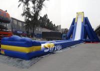 China Giant Blow Up Hippo Inflatable Adult Water Slide 10m High Lead Free PVC for Water Park for sale