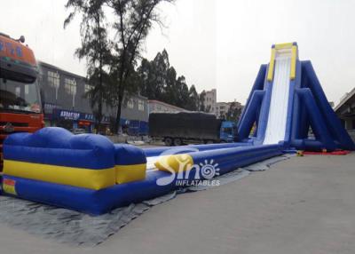 China Giant Blow Up Hippo Inflatable Adult Water Slide 10m High Lead Free PVC for Water Park for sale