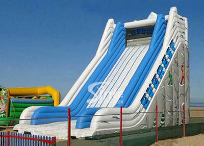 China 9m High Commercial Giant Inflatable Slide for Adults and Kids with CE Certification for sale