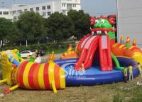 China Giant Inflatable Water Park with Dragon Slide 20m Pool 8m High for Commercial Use for sale