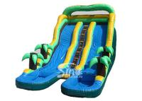 China Commercial Inflatable Water Slide 7.5m High with Pool for Kids Outdoor Fun for sale
