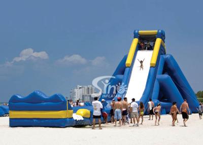 China Commercial Giant Hippo Inflatable Water Slide 10m High with Pool for Beach Water Park for sale