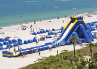 China Commercial Giant Hippo Inflatable Water Slide 10m High with Pool for Beach Water Park for sale