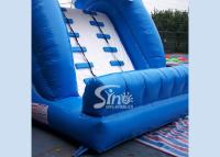 China 5m High Dolphin Kids Inflatable Water Slide with Pool EN14960 Certified 9.3x3.6m for sale