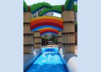 China 71ft Commercial Inflatable Water Slide with Pool and 2 Dolphins for Outdoor Use for sale