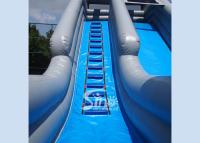 China 71ft Commercial Inflatable Water Slide with Pool and 2 Dolphins for Outdoor Use for sale