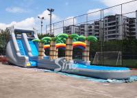 China 71ft Commercial Inflatable Water Slide with Pool and 2 Dolphins for Outdoor Use for sale