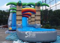 China 71ft Commercial Inflatable Water Slide with Pool and 2 Dolphins for Outdoor Use for sale