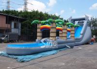China 71ft Commercial Inflatable Water Slide with Pool and 2 Dolphins for Outdoor Use for sale