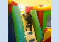 China Lead Free PVC Tarpaulin Inflatable Bouncy Castle Slide Combo 9x5x5.5m CE EN14960 for sale