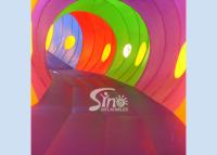 China Inflatable Caterpillar Tunnel with Slide Outdoor Kids Party Game 18m Long for sale