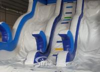 China Double Lanes Inflatable Dolphin Water Slide with Pool EN14960 for Adults and Kids 610g PVC for sale