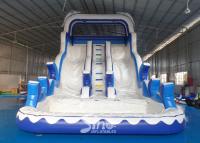 China Double Lanes Inflatable Dolphin Water Slide with Pool EN14960 for Adults and Kids 610g PVC for sale